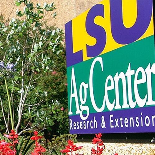 Lsu Agcenter Logo