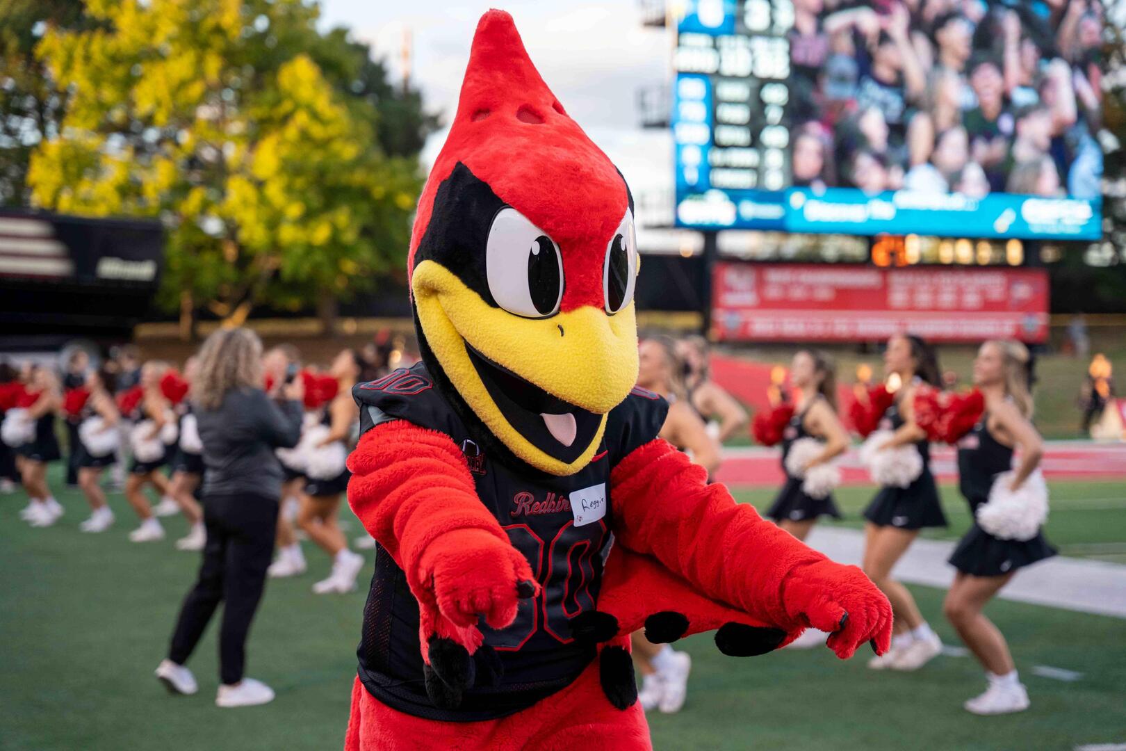 Redbird Athletics - Champions Fund - Illinois State Birds Give Back
