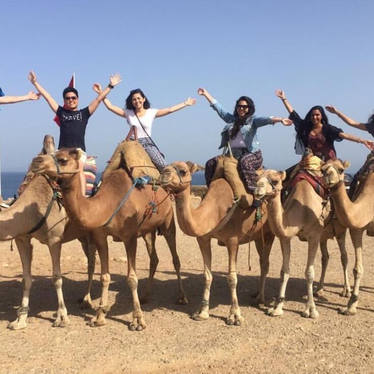 Undergraduate Study Abroad Program - UC San Diego Crowdfunding