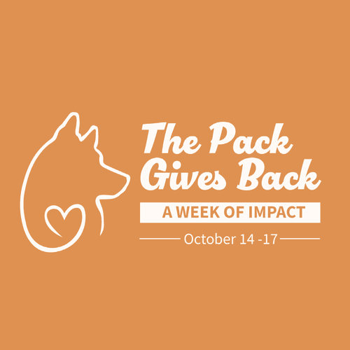Varsity - Volleyball - Northeastern Pack Gives Back