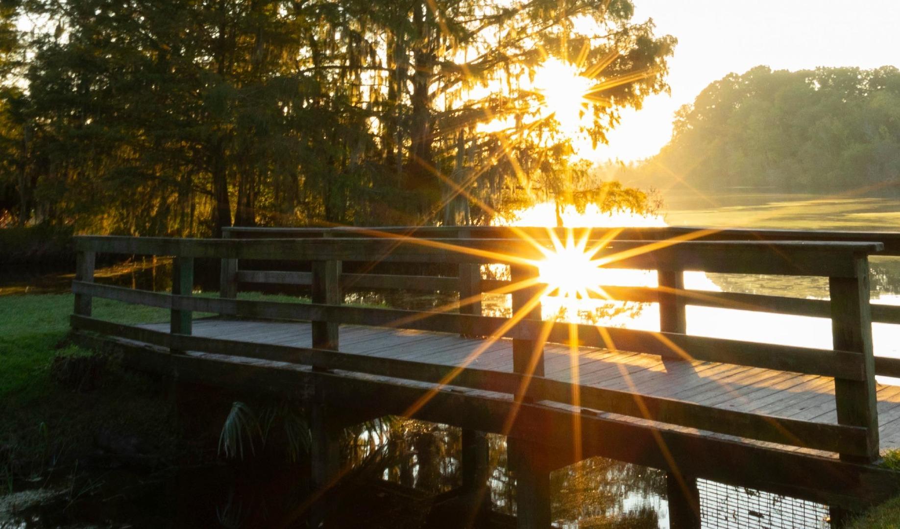 Lake Alice - Gator Nation Giving Day