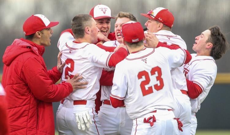 Baseball - WPI Crowdfunding