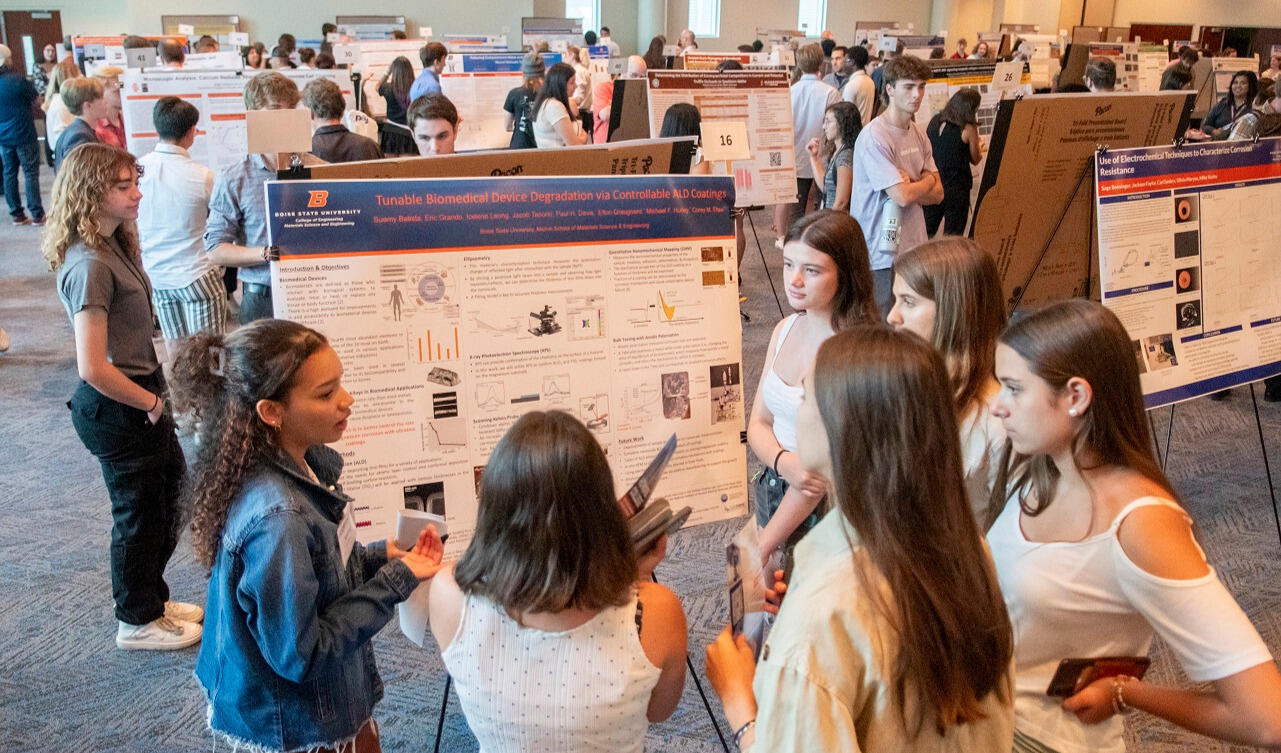 The Donna Llewellyn Fund for Undergraduate Research - Boise State ...