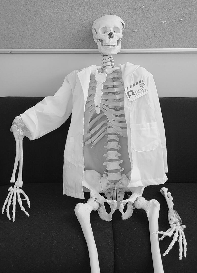 Give us a Hand! Student Learning Center Anatomy Skeleton Fundraiser ...