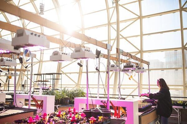 Loyola University Chicago Giving Day