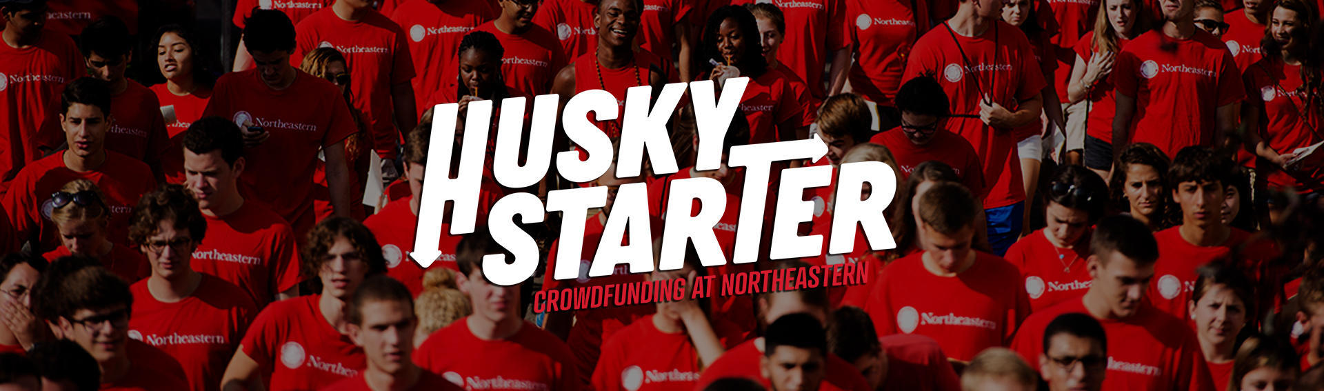 Northeastern University Husky Starter