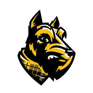 Wooster Gives